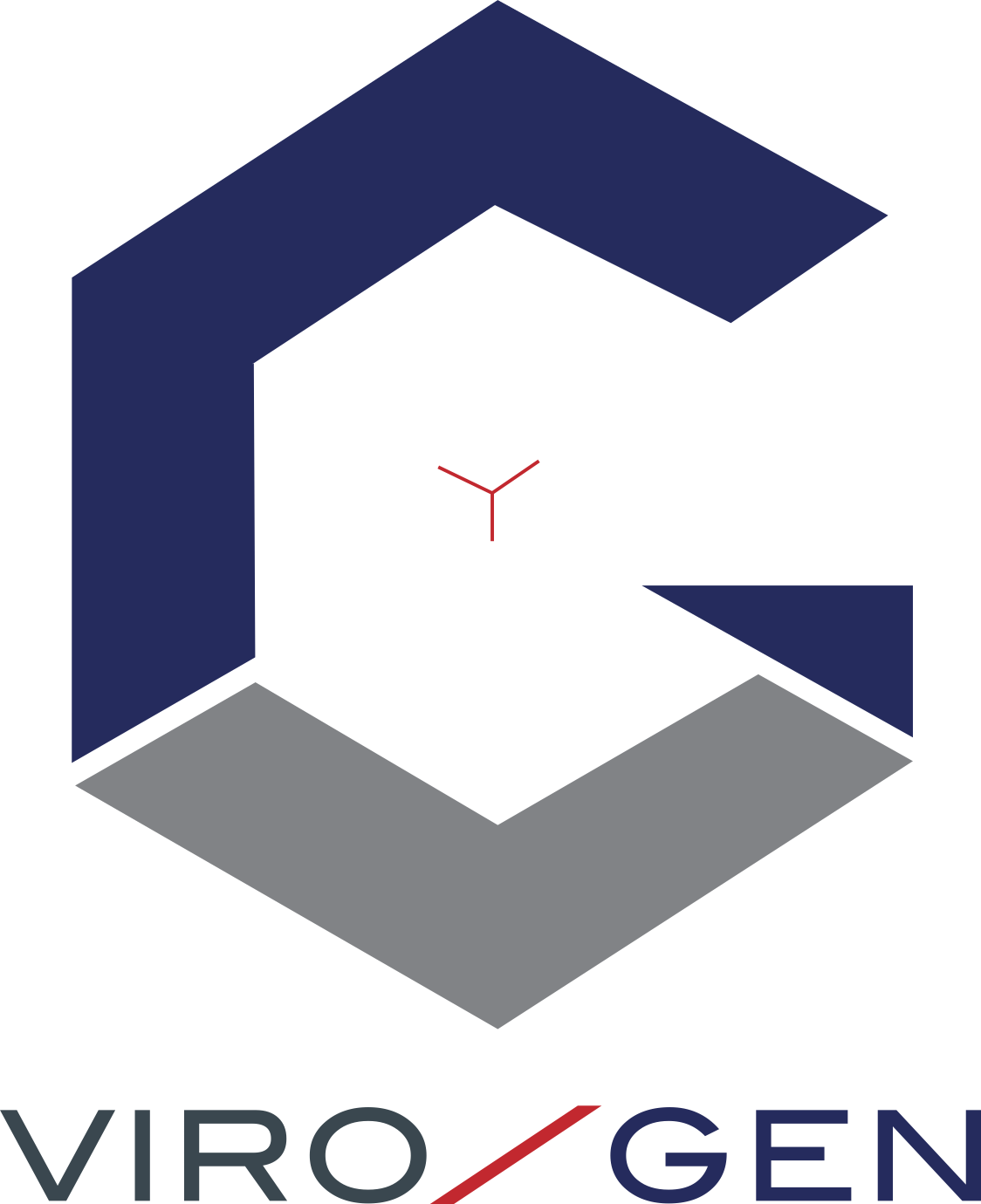 ICT Solution | Viro-Gen